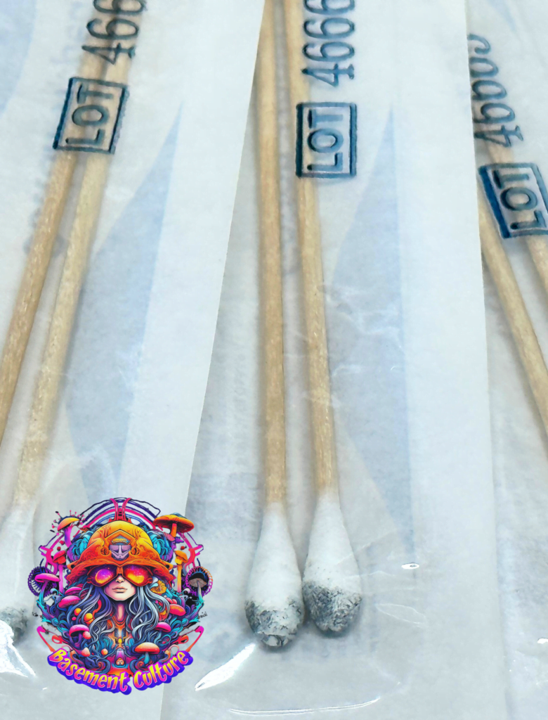 Albino Chodewave Spore Swabs - SporeSwaps