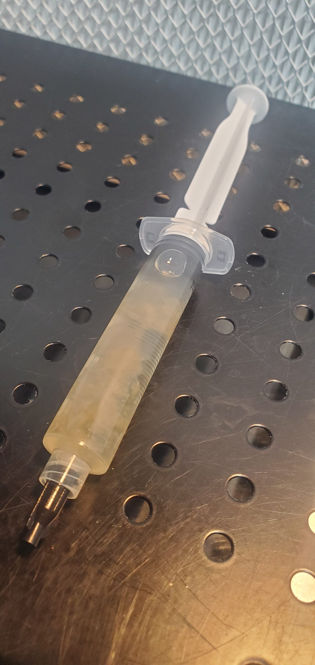 Psilocybe Alutacea Research Liquid Culture - SporeSwaps