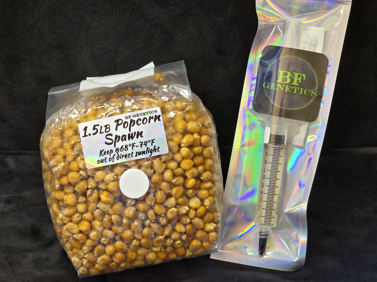 1.5 lb Popcorn Spawn & LC Combo - SporeSwaps