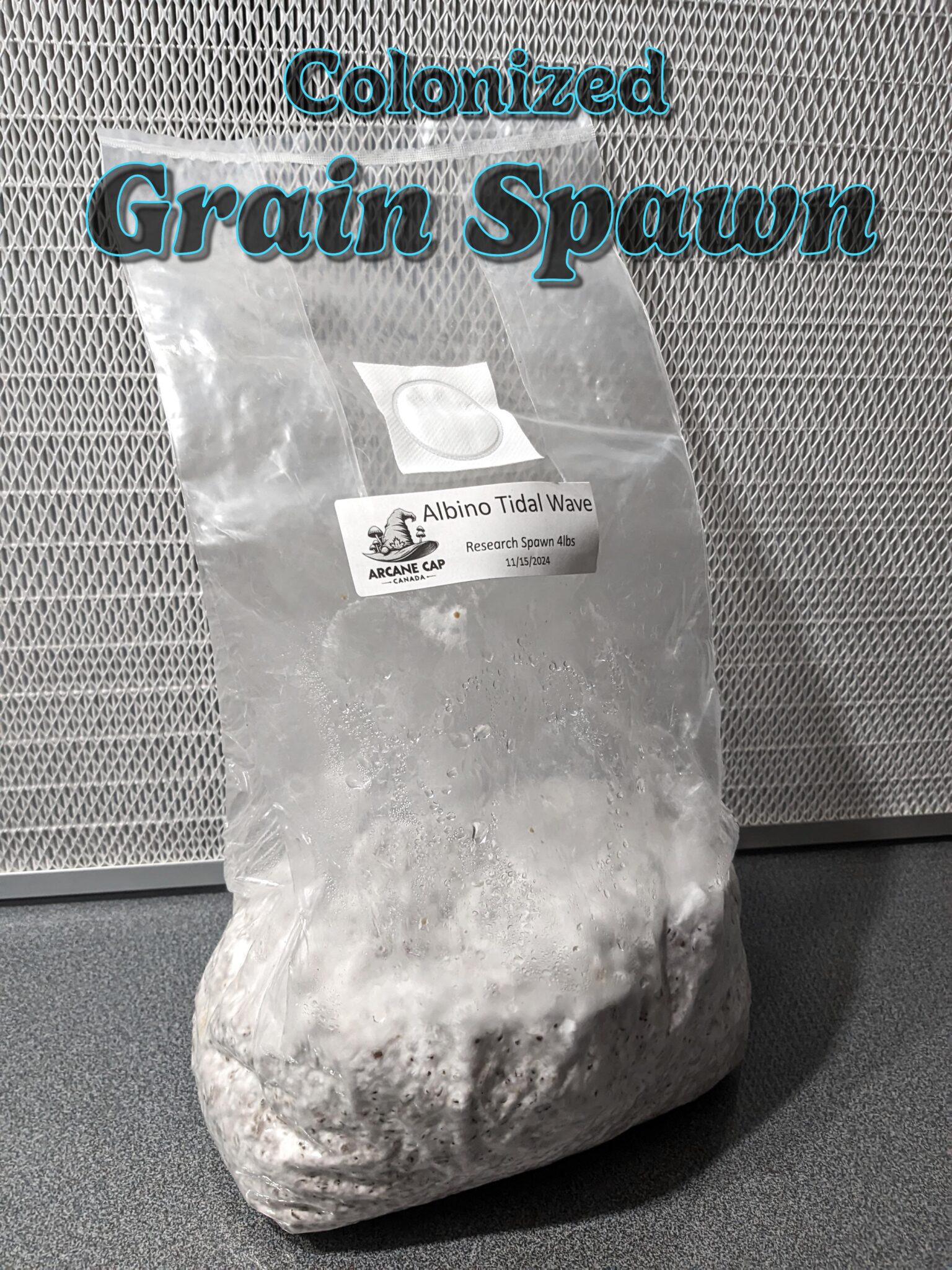 4lb Fully Colonized Grain Spawn - Customers Choice - SporeSwaps